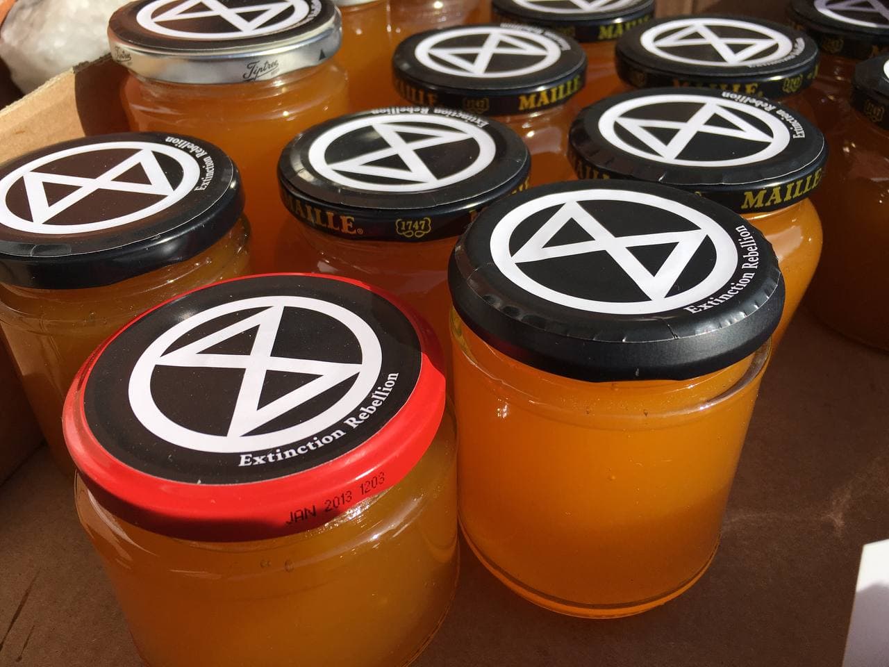 Community and outreach - Extinction Rebellion Malvern